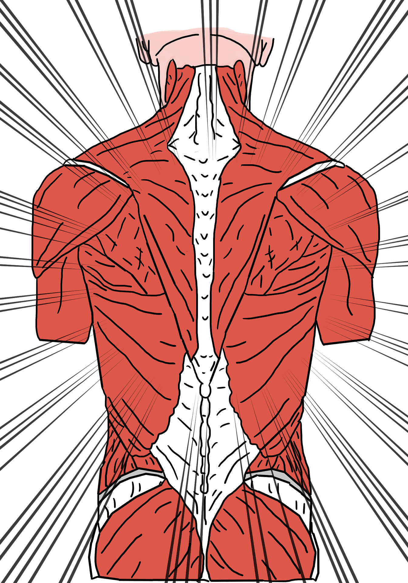 Magnesium Dr. Bojda